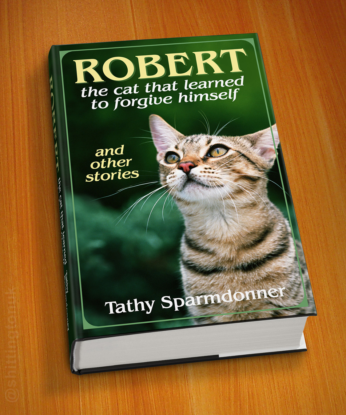 Robert: The Cat that Learned to Forgive Himself - LiarTownUSA