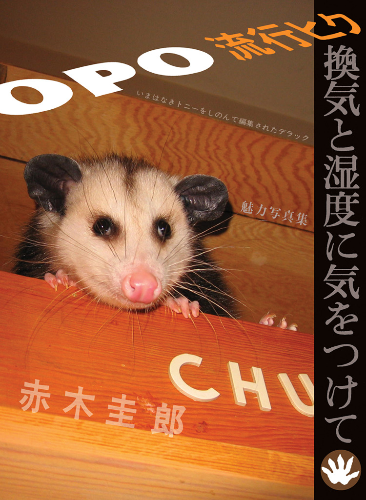 OPO: Chumps (Japanese Opossum Fancy Magazine) - LiarTownUSA