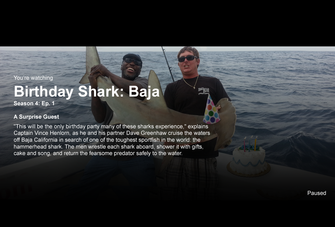 Birthday Shark: Baja - LiarTownUSA