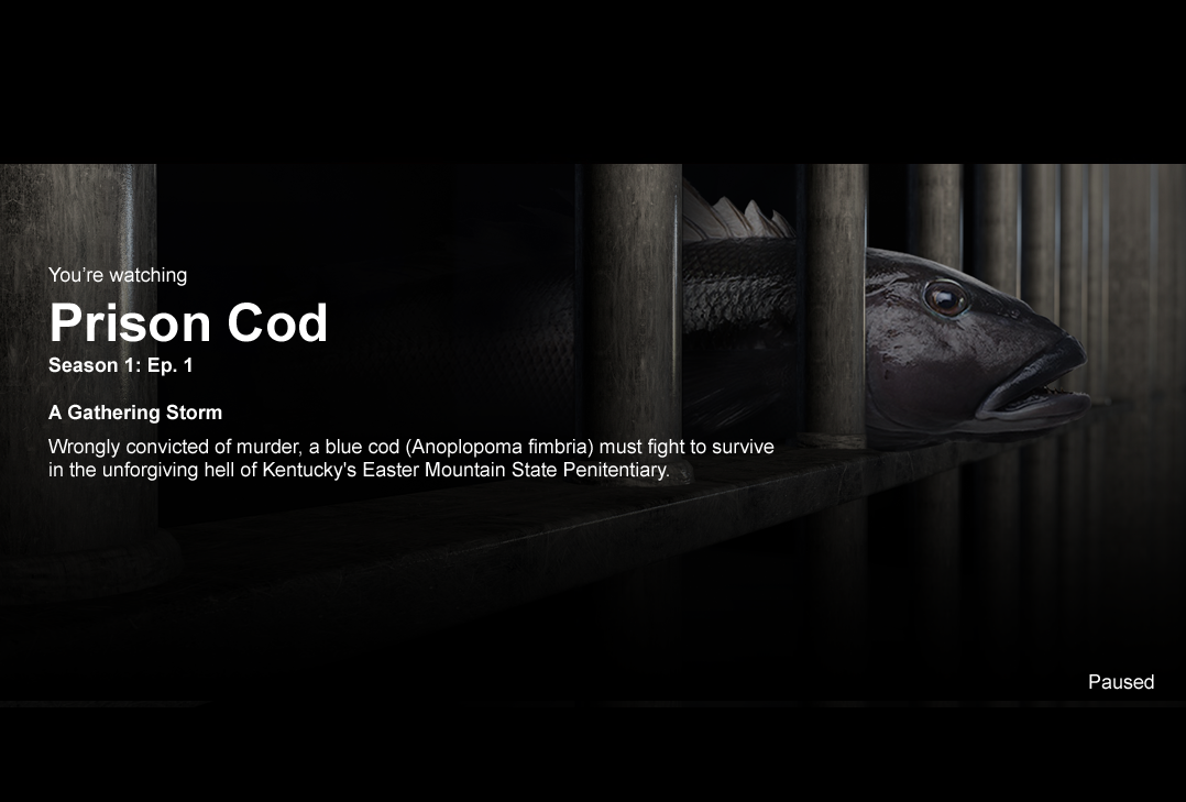 Prison Cod - LiarTownUSA