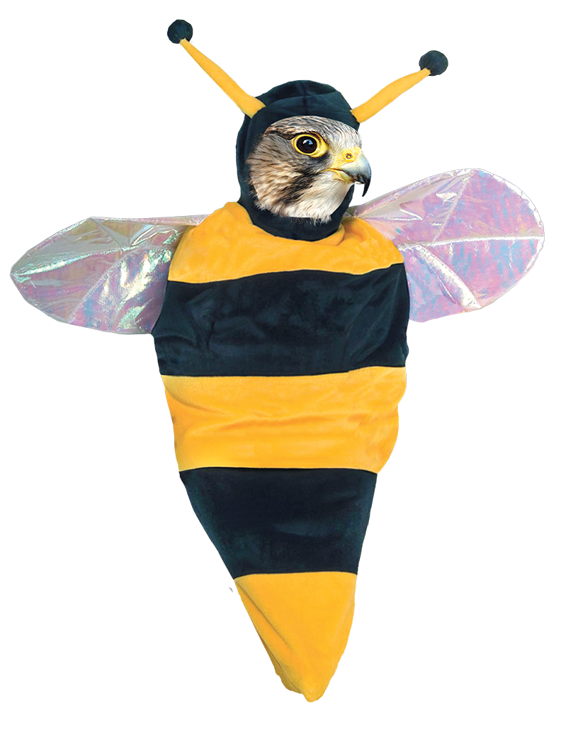 Rusty, the Falcon's Hive Hivemaster - LiarTownUSA