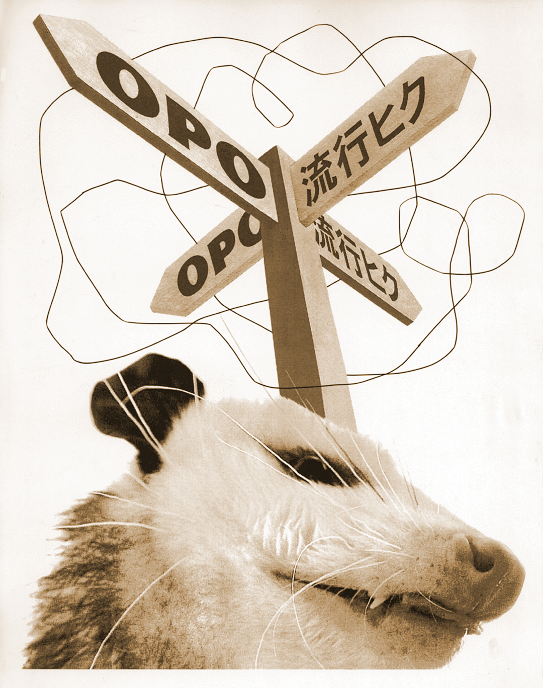 1967 Issue of OPO: Japanese Opossum Fancy Zine - LiarTownUSA